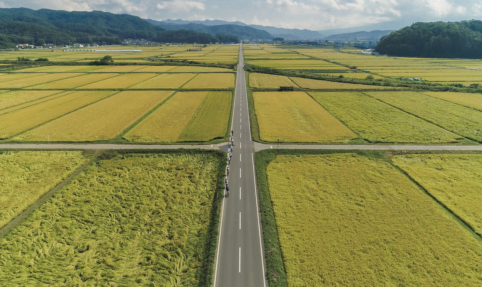 SAKU SAKE RICE FIELDS TRAIL | KURABITO STAY | Sip Saku sake, recall the ...