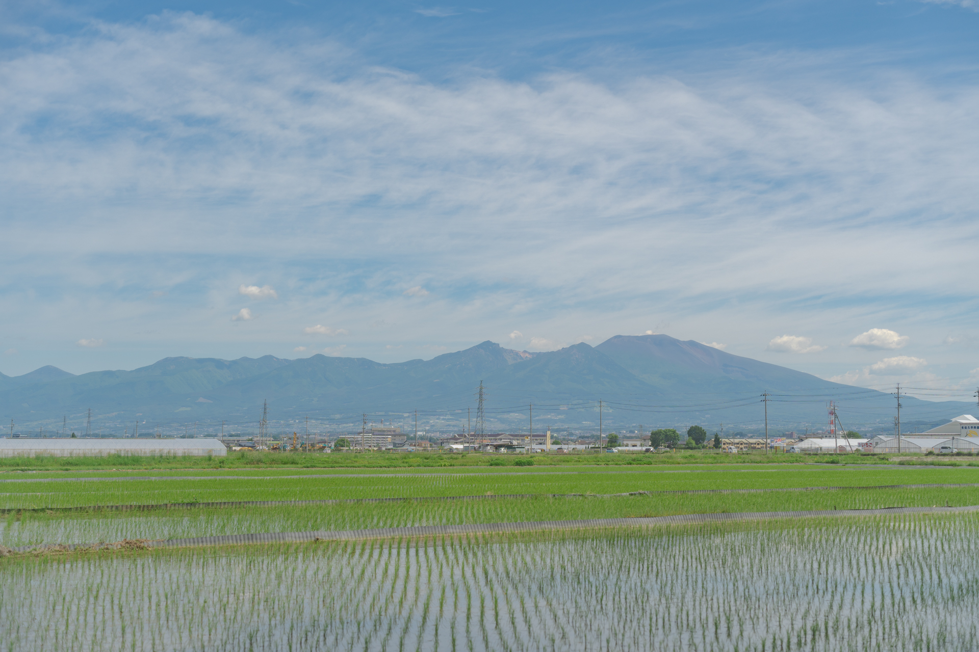 The Sake Rice Fields Trail 〜自転車で酒米街道へ〜 （プライベートツアー希望日リクエスト受付） | KURABITO ...